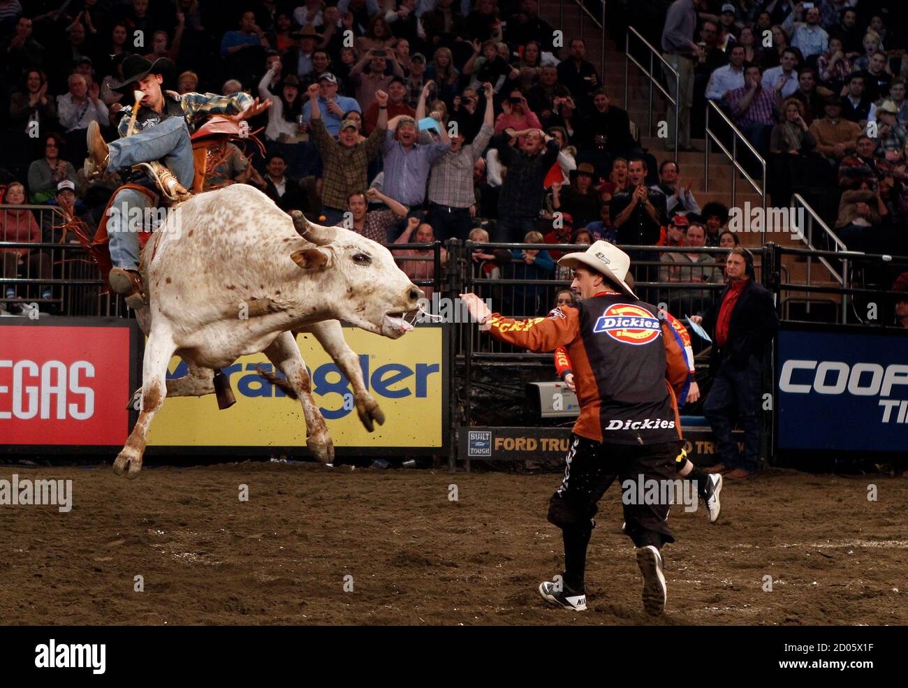 Pbr bull jump hi-res stock photography and images - Alamy