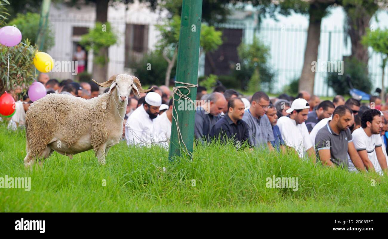 Muslims praying in tunisia hi-res stock photography and images - Alamy