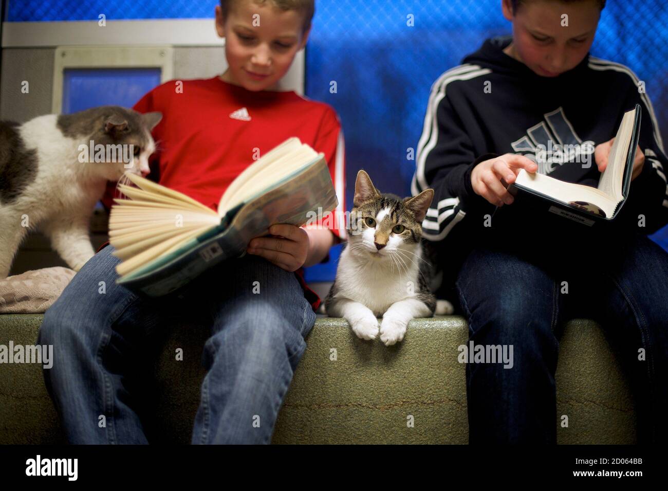 Unite for all animals hi-res stock photography and images - Alamy