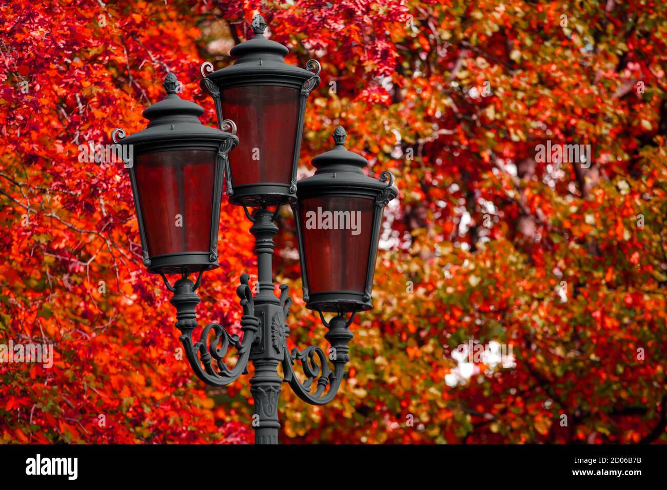 beautiful street lamp on a background of autumn leaves Stock Photo - Alamy