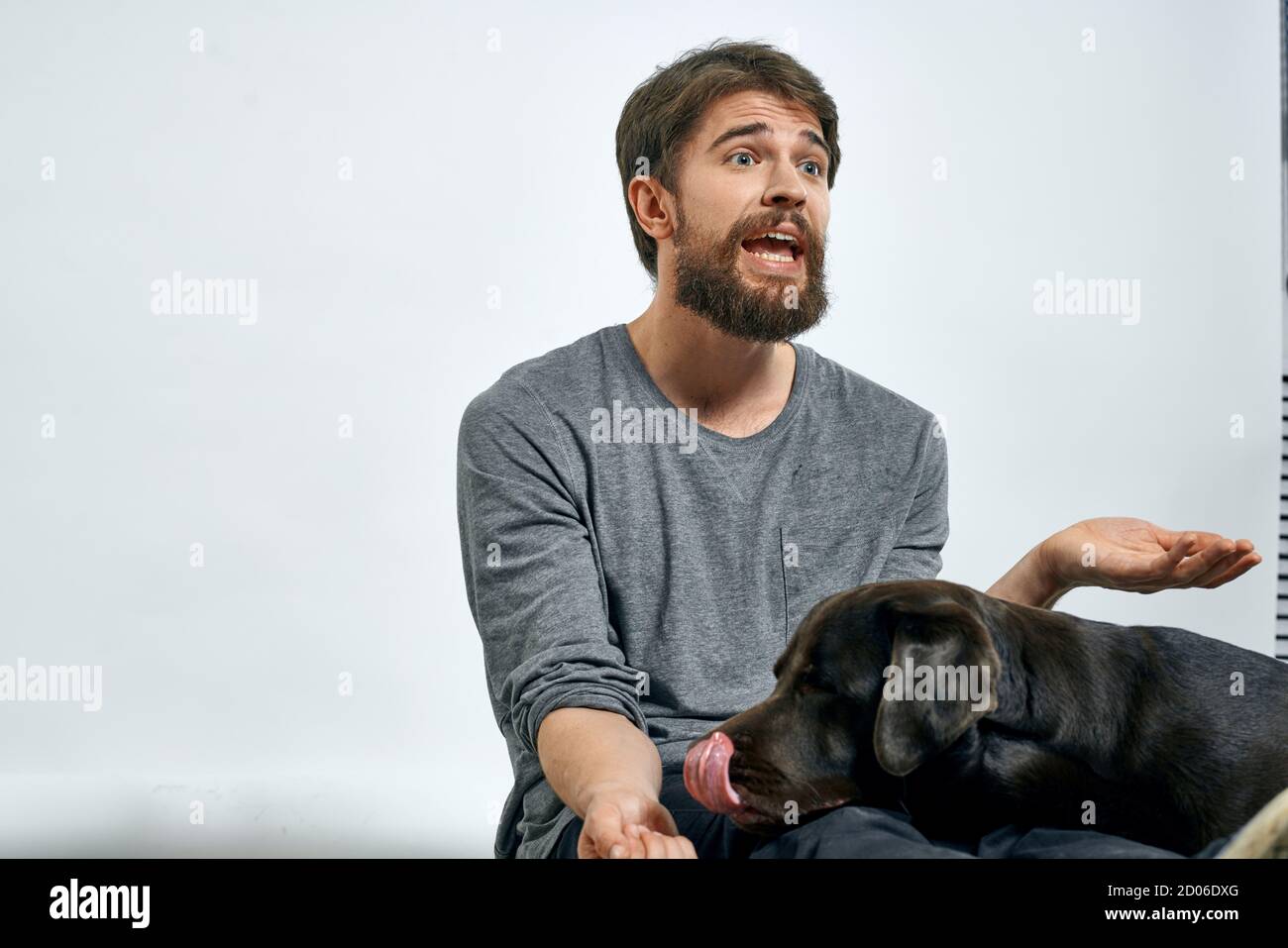 happy owner with pet black dog training model emotions Stock Photo - Alamy