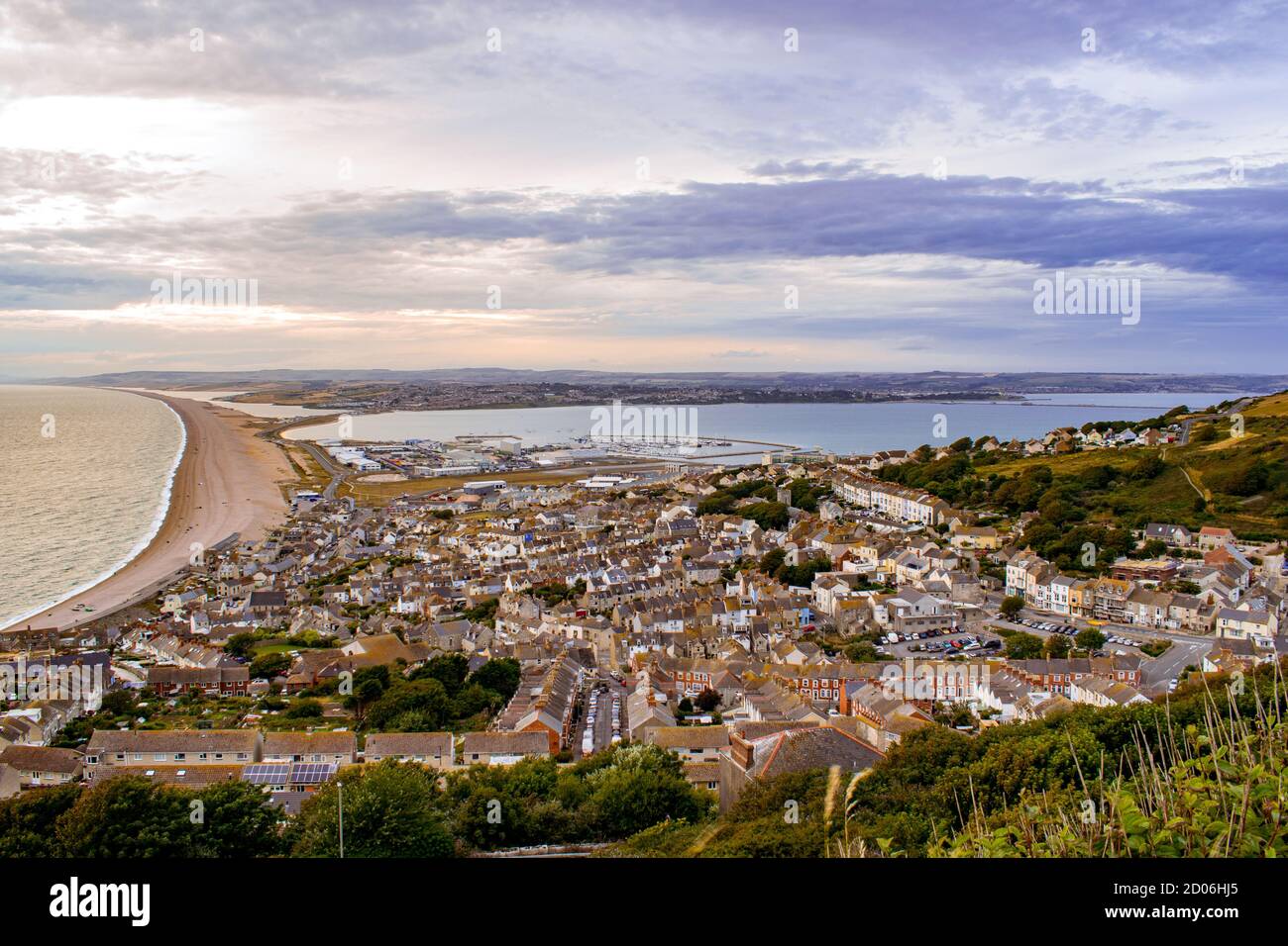 English Sea Birds High Resolution Stock Photography and Images - Alamy
