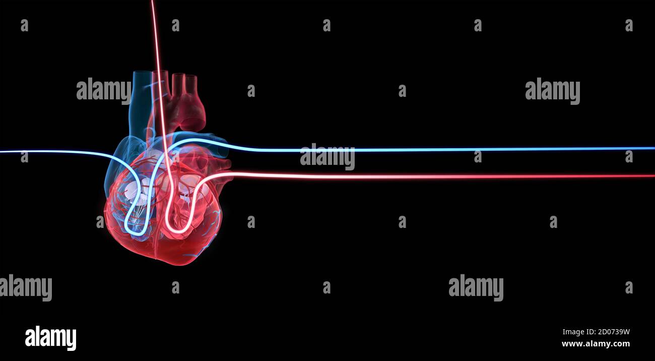 Human heart with lines showing blood flow, 3d illustration Stock Photo ...