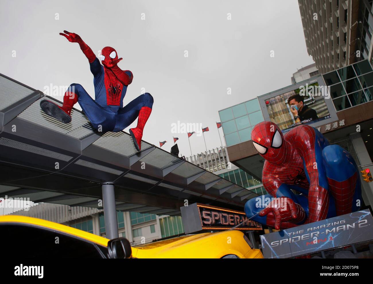 Amazing world of spider hi-res stock photography and images - Alamy