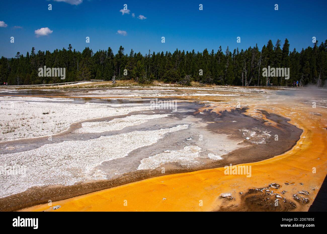 Bacterial mat hi-res stock photography and images - Alamy