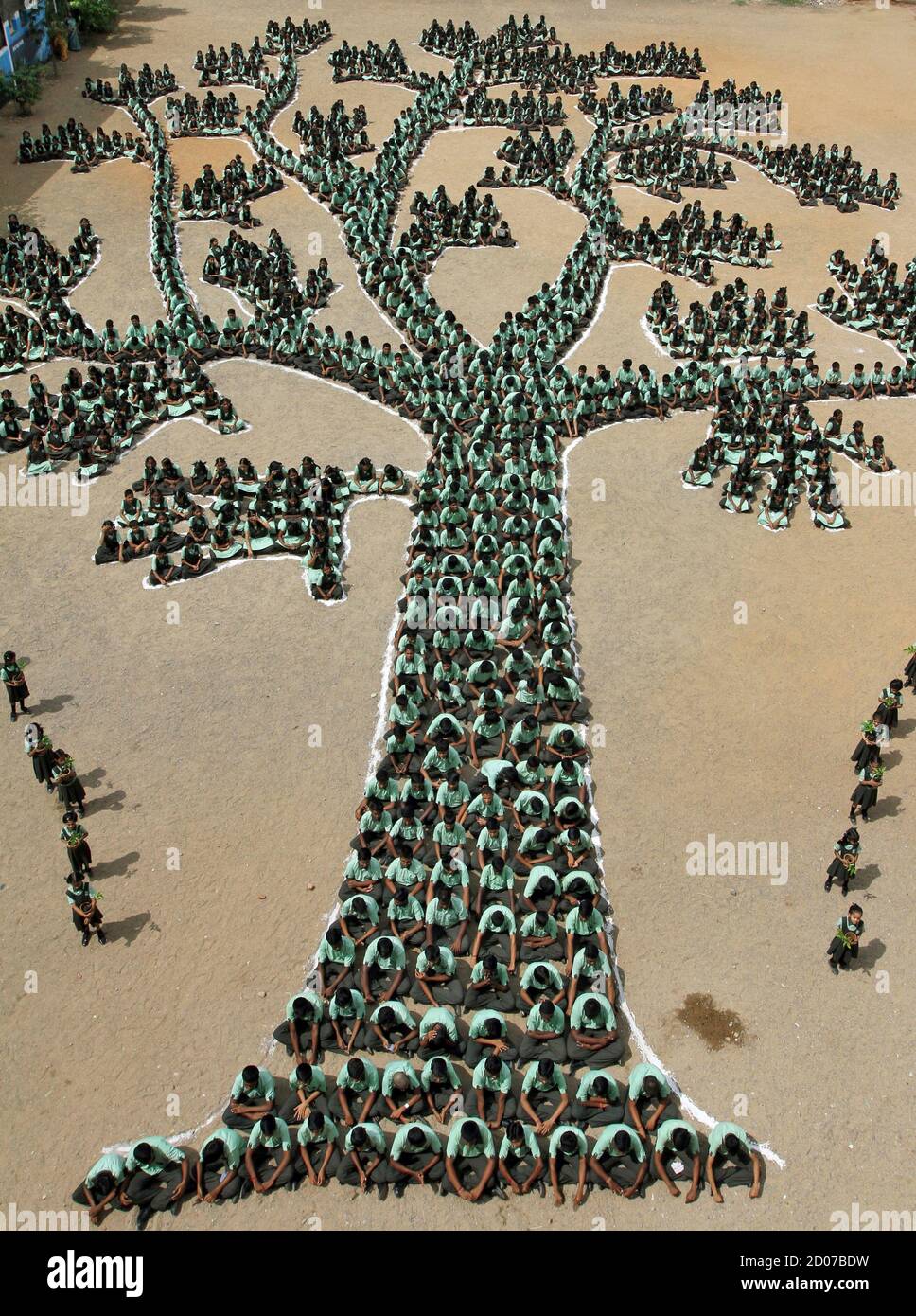 Save trees hi-res stock photography and images - Alamy