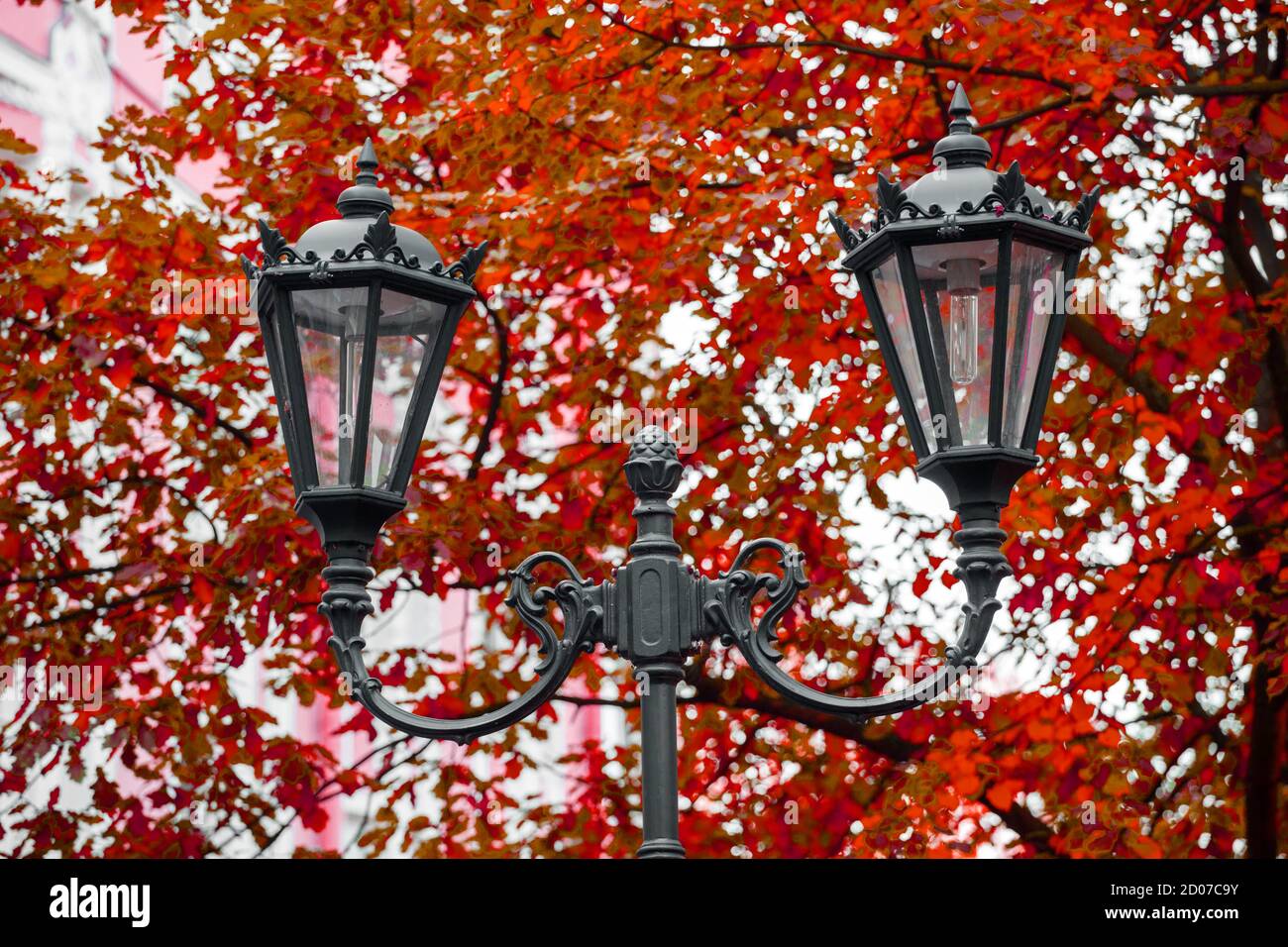 beautiful street lamp on a background of autumn leaves Stock Photo - Alamy