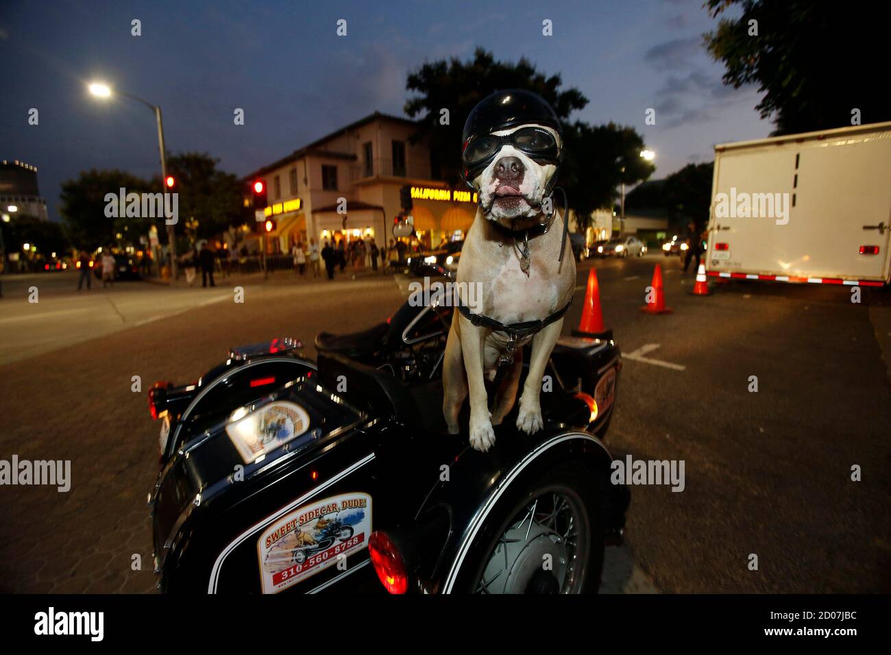 Dog in motorcycle sidecar hi-res stock photography and images - Alamy