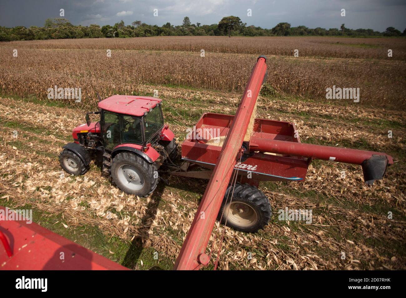 1920s cattle industry hi-res stock photography and images - Alamy