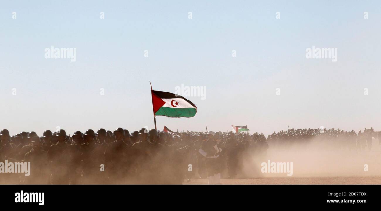 Morocco independence parade hi-res stock photography and images - Alamy