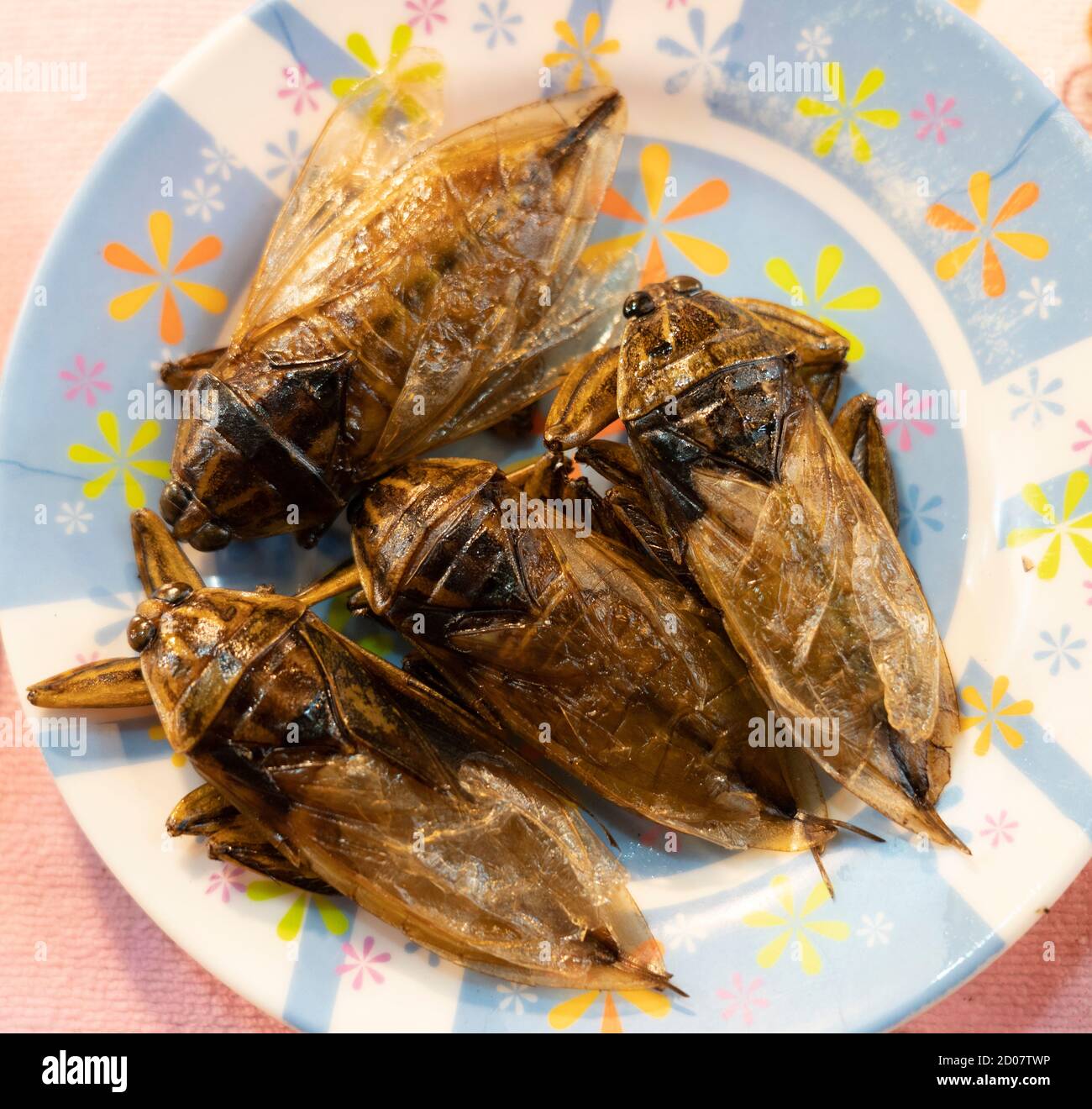 Fried cockroaches food hi-res stock photography and images - Alamy