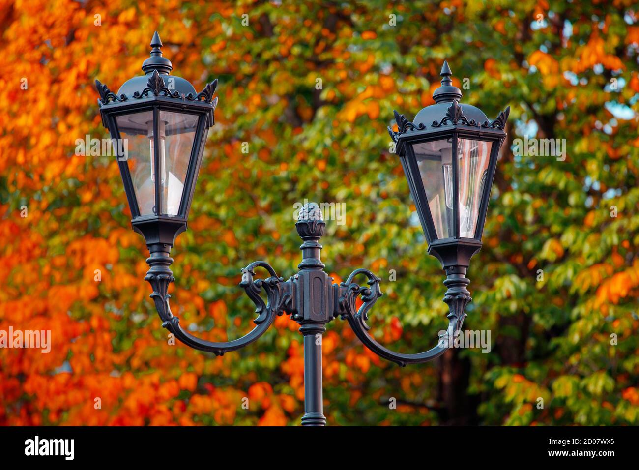 beautiful street lamp on a background of autumn leaves Stock Photo - Alamy