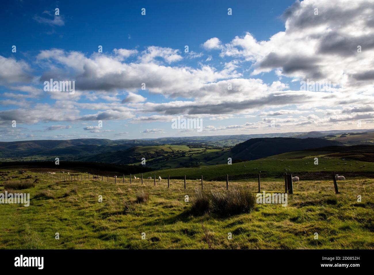 Agriculture farm land powys a hi-res stock photography and images - Alamy