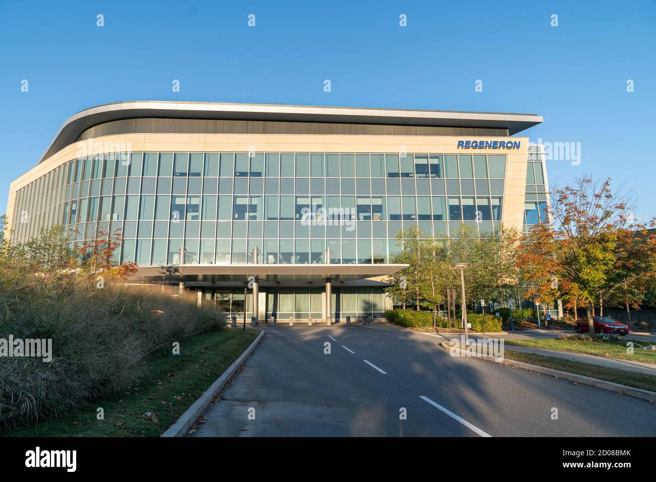 Antibody Cocktail High Resolution Stock Photography and Images - Alamy