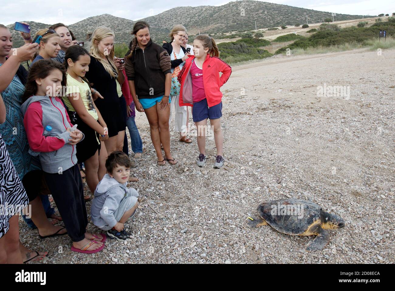 Archelon greece hi-res stock photography and images - Alamy