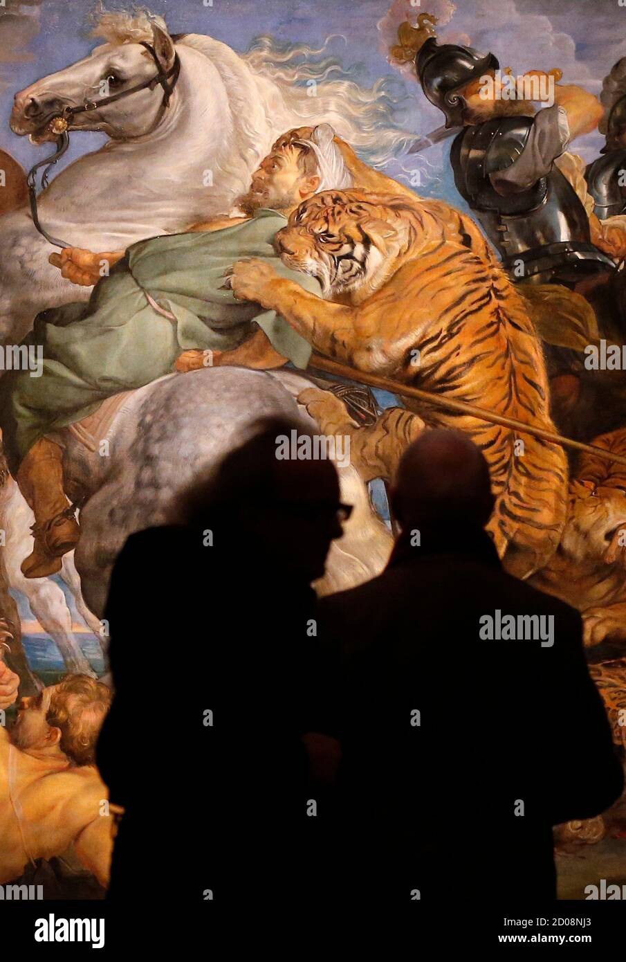 Tiger lion and leopard hunt hi-res stock photography and images - Alamy