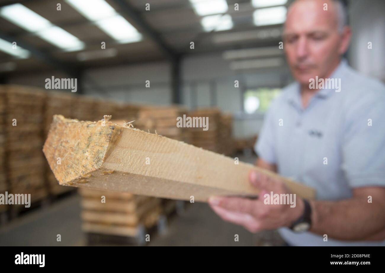 Cricket bat makers hi-res stock photography and images - Alamy