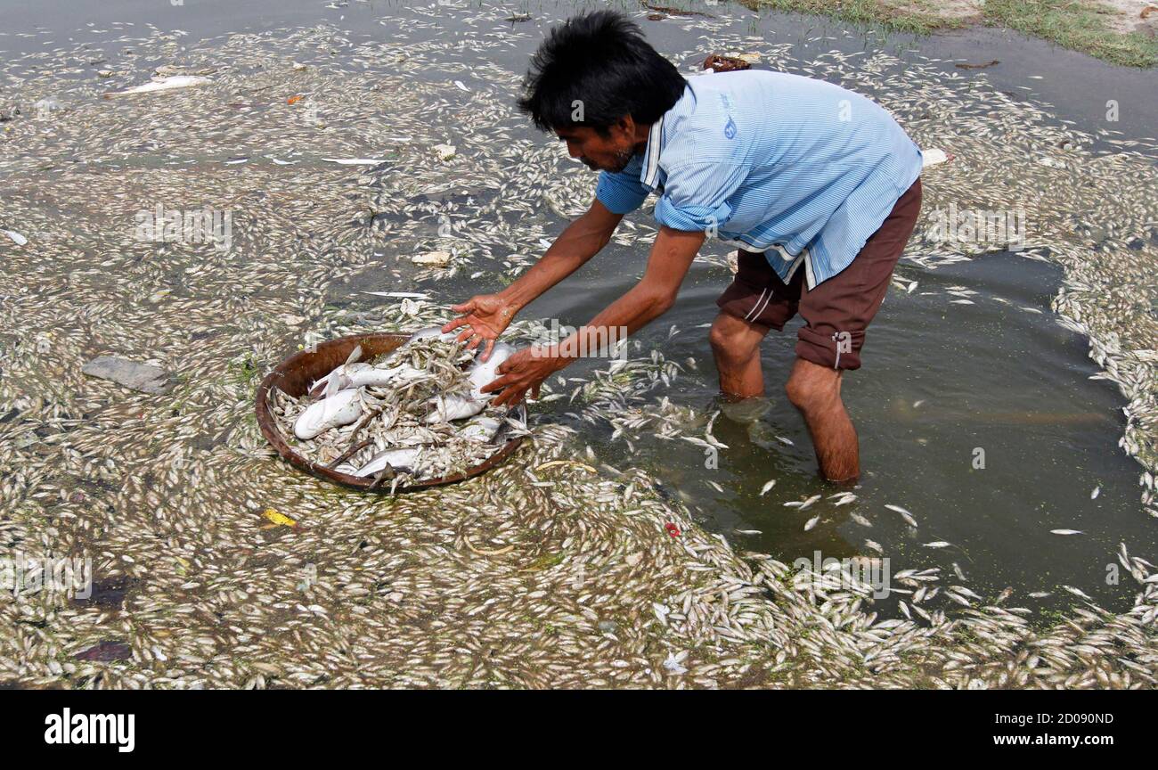 Oxygen Depletion Pollution