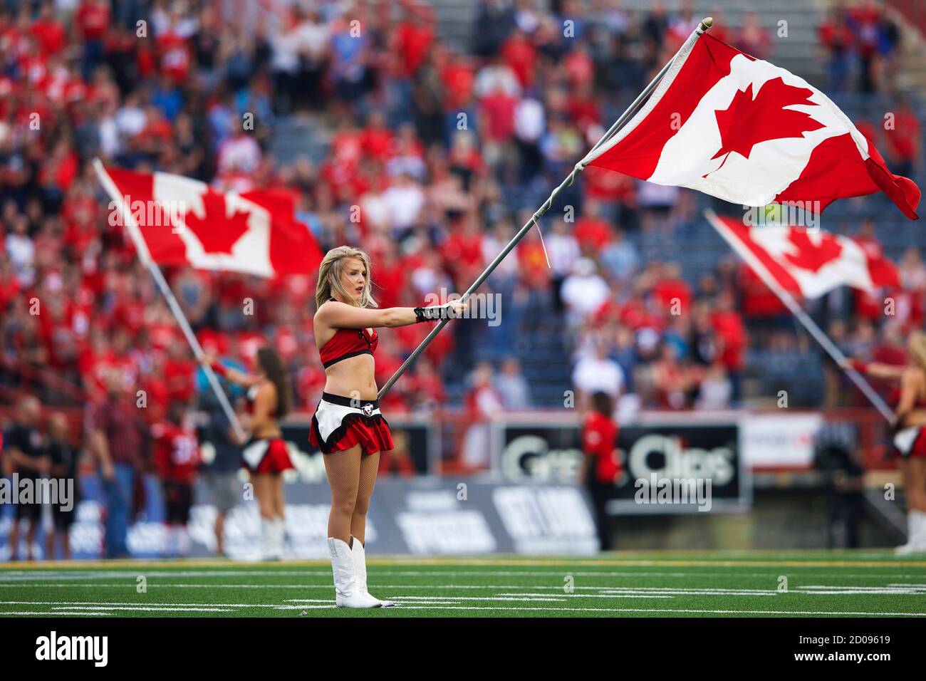 Cfl Cheerleaders High Resolution Stock Photography and Images - Alamy