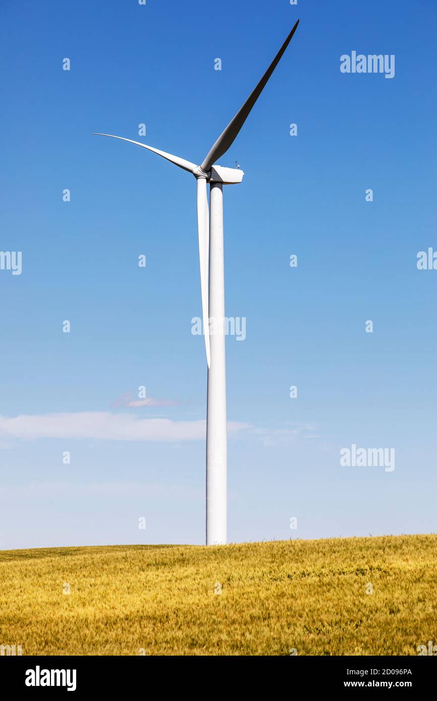 Stand alone wind turbine, barley country, Alberta Canada, during ...