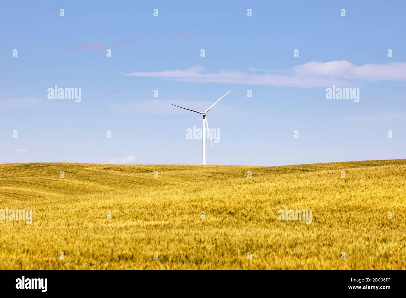 Wind Turbine farm and a real farm, Alberta Canada during summertime ...
