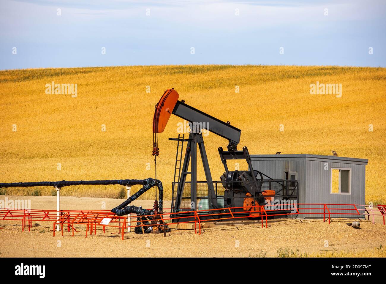 Oil Pump Drilling in a barley farm during summertime Stock Photo - Alamy