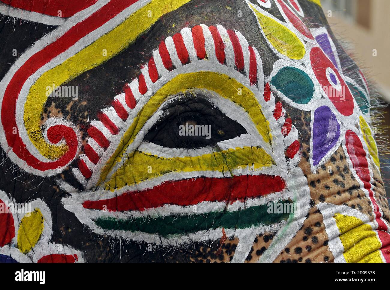 Elephant with a chariot hi-res stock photography and images - Alamy