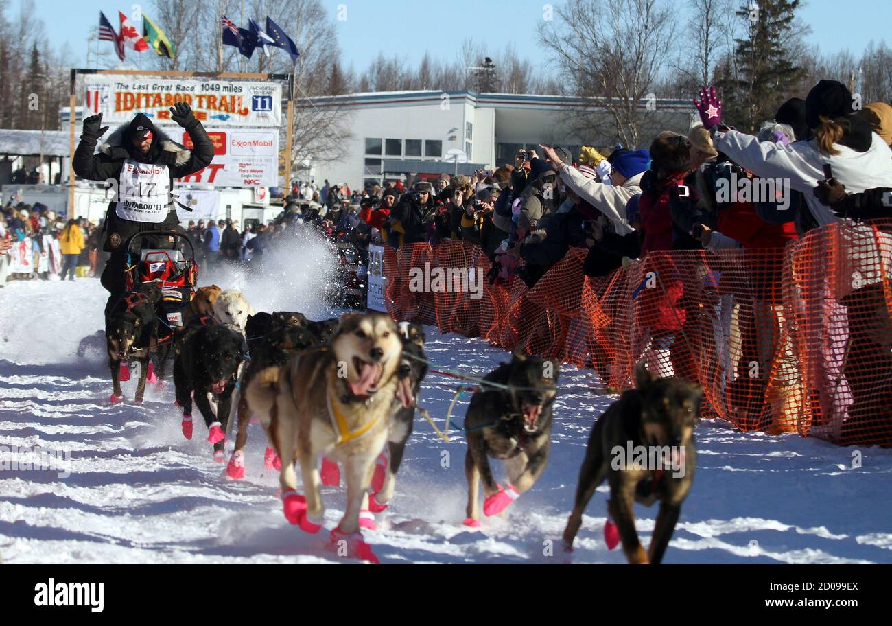 Lance mackey official iditarod start willow alaska High Resolution ...