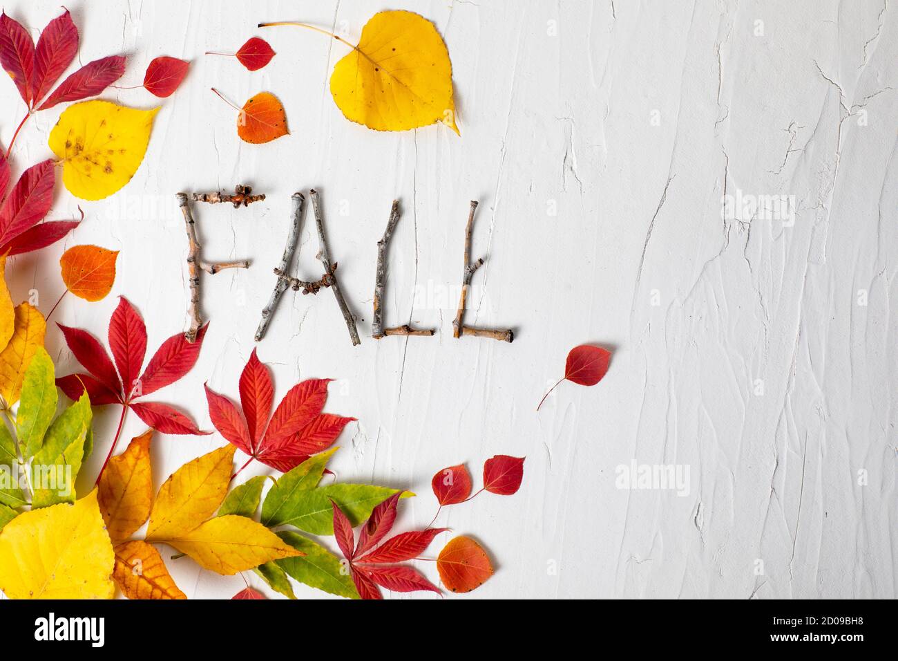 Fall nature composition with leaves colors green, yellow and orange ...