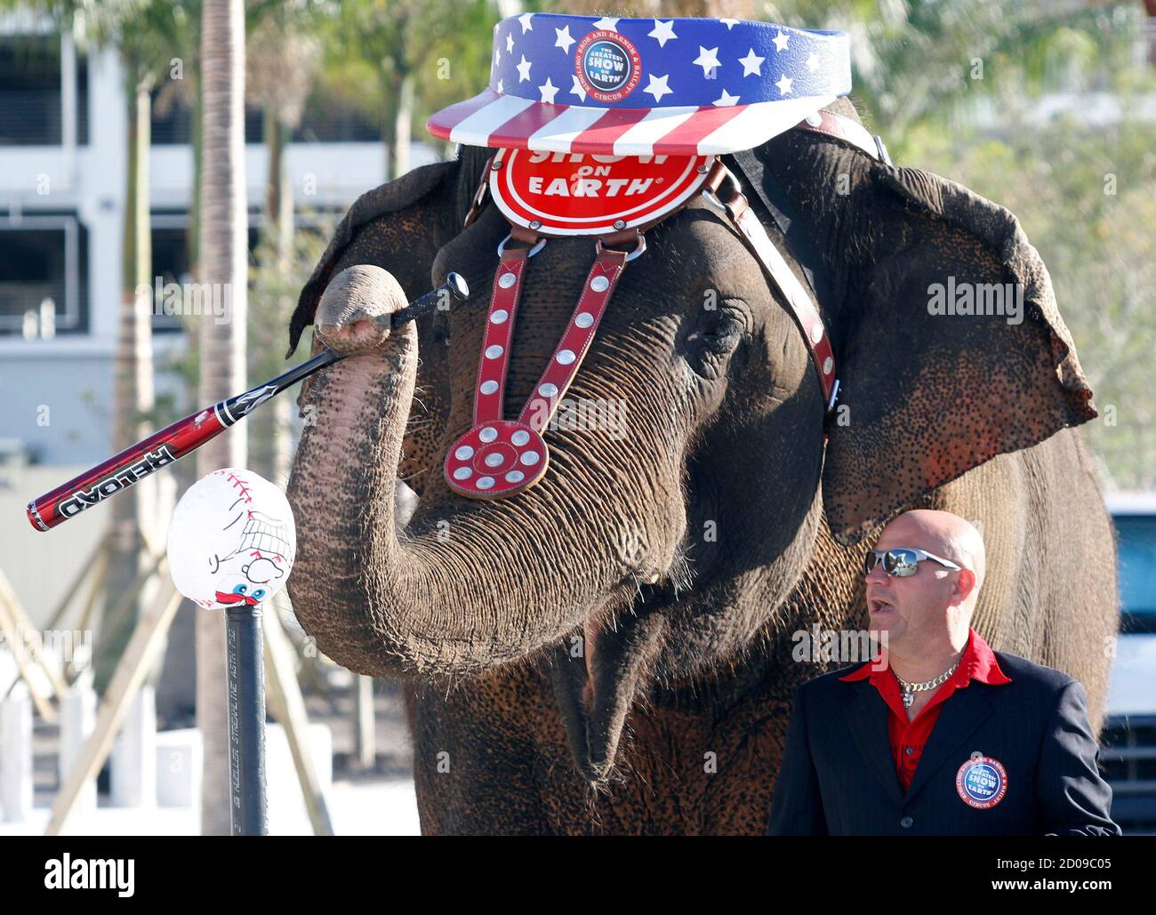Indian circus elephants hi-res stock photography and images - Alamy