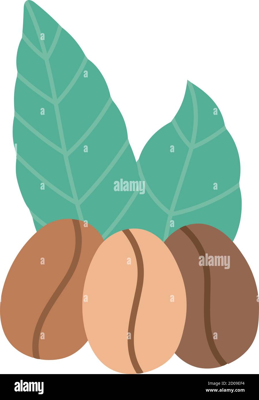 coffee grains leaves organic nature isolated icon style vector ...