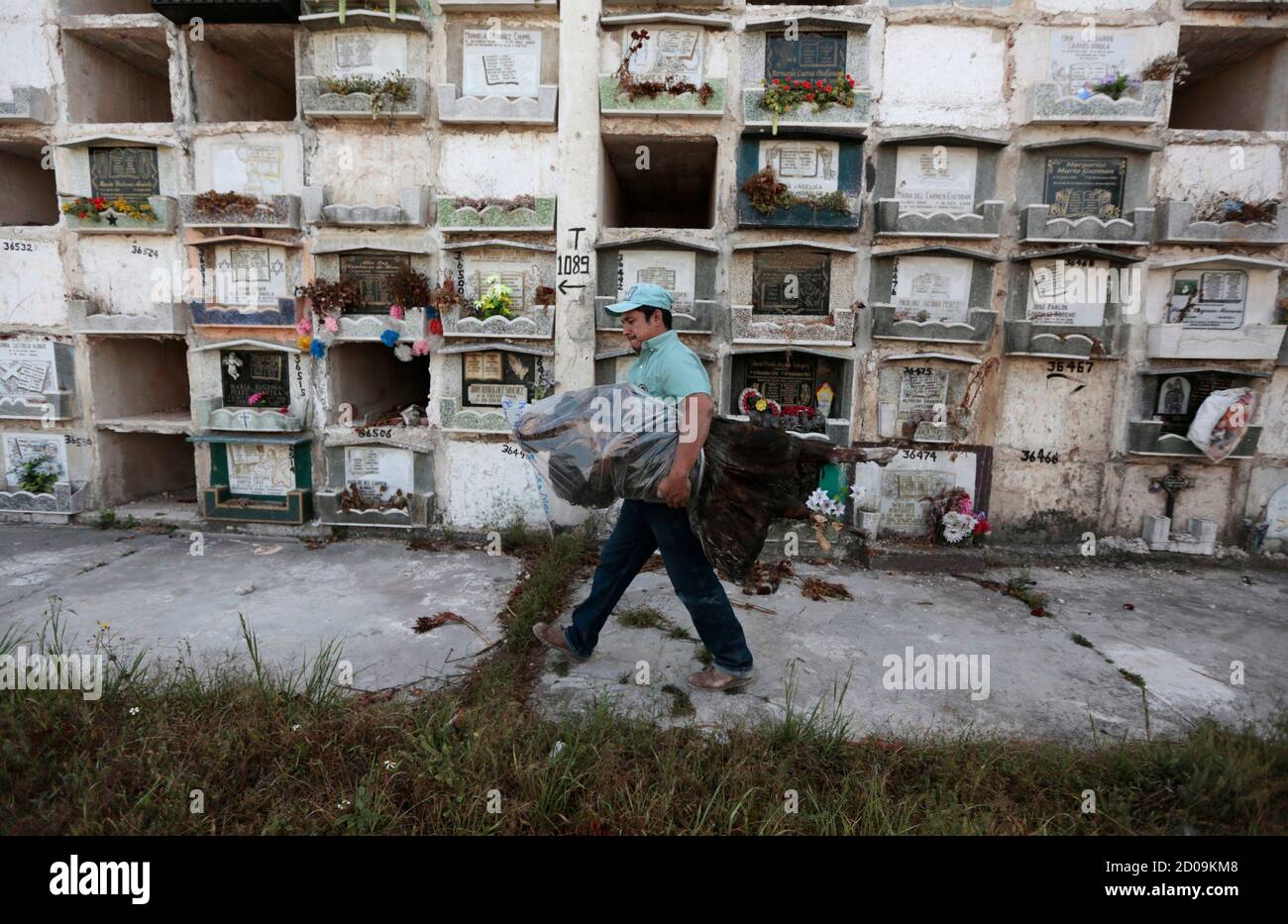 Become dry and decompose hi-res stock photography and images - Alamy