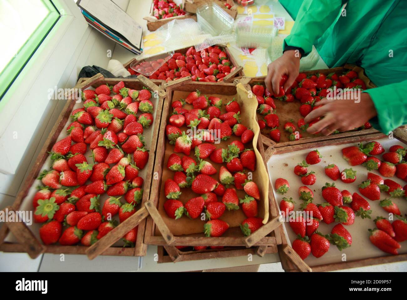 Farmer blockade hi-res stock photography and images - Alamy