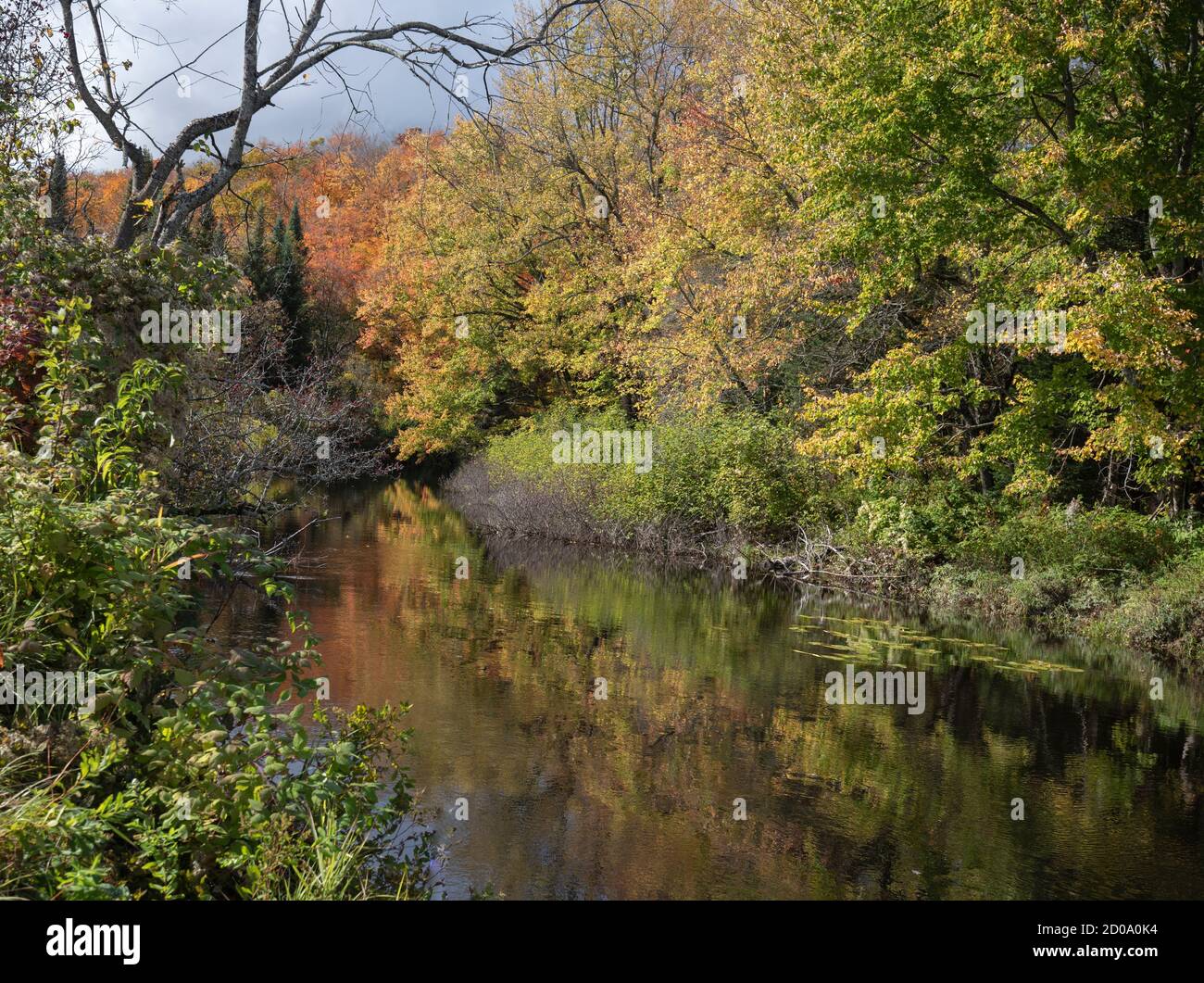 Colourful Autumn leaves around a peaceful river Stock Photo - Alamy
