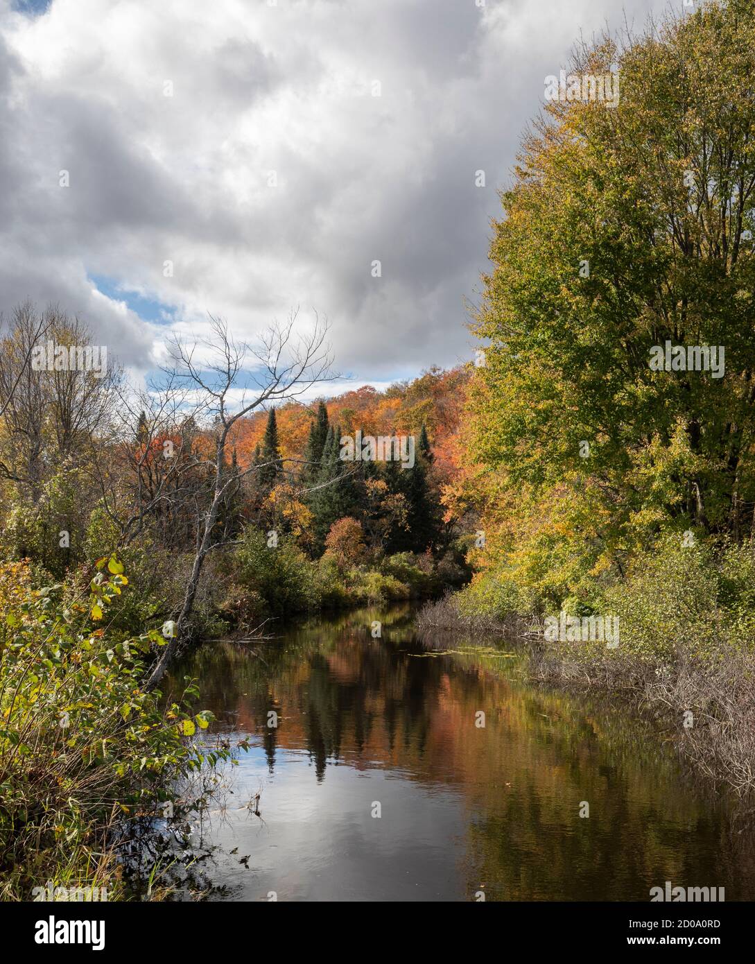 Colourful Autumn leaves around a river Stock Photo - Alamy