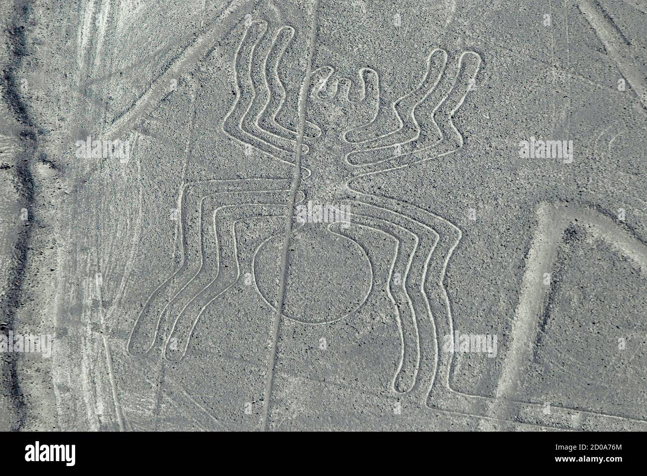 Nazca Lines Spider Peru High Resolution Stock Photography and Images ...