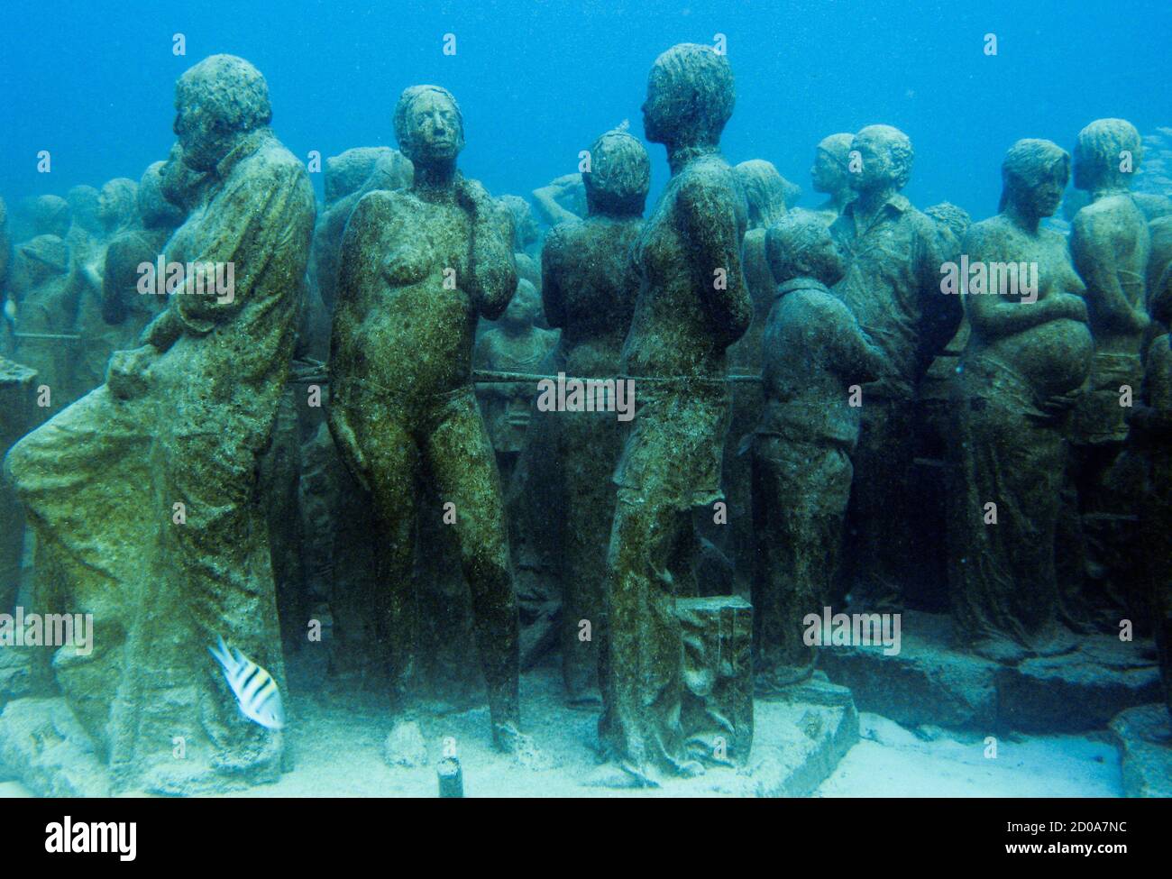 The silent evolution sculpture hi-res stock photography and images - Alamy