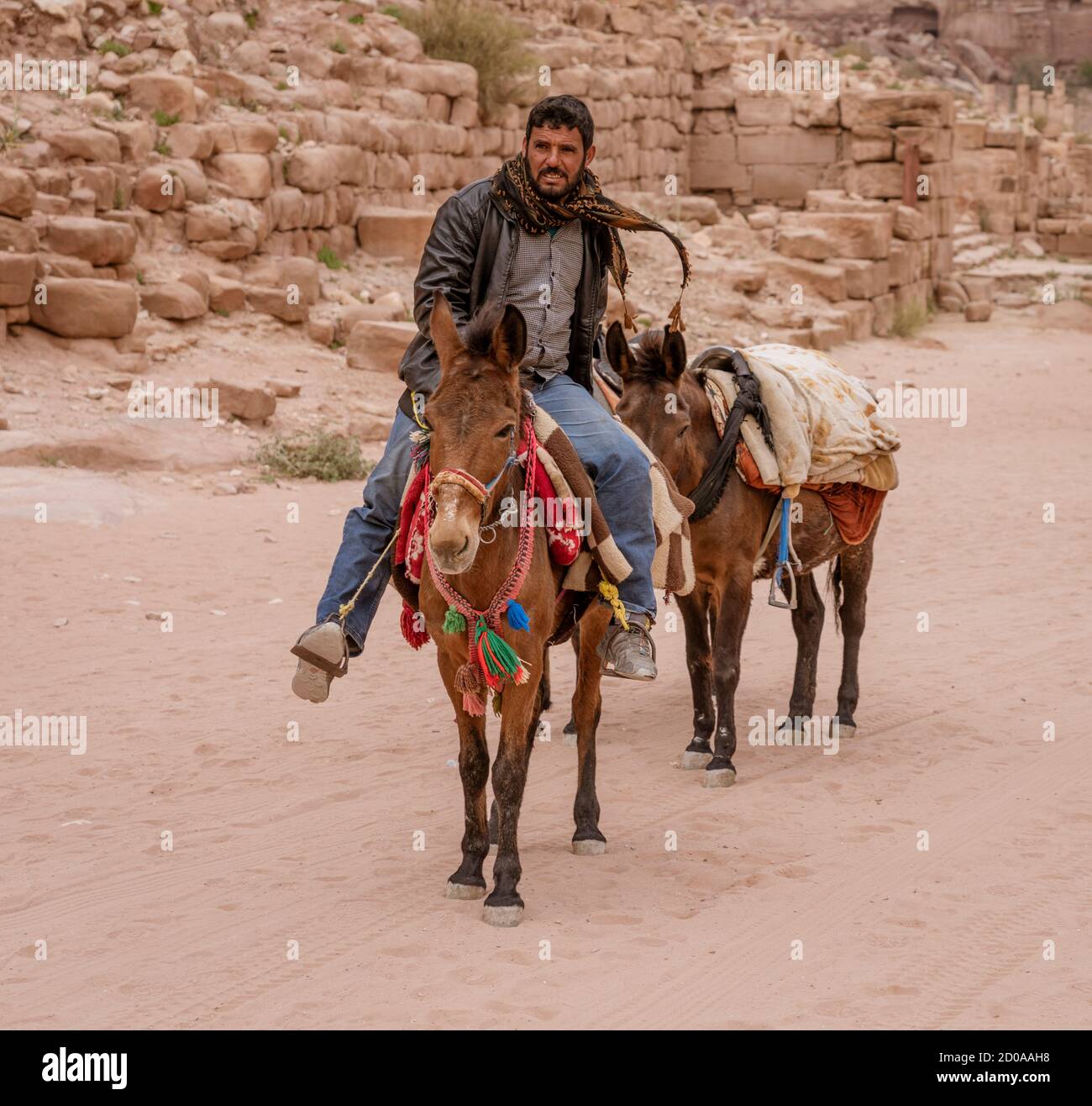 Donkeys Are Common Transport Animals in Petra Jordan Stock Photo - Alamy