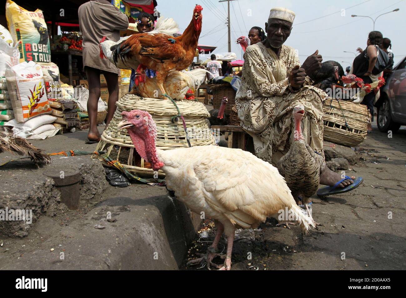 Man selling live chickens in hi-res stock photography and images - Alamy
