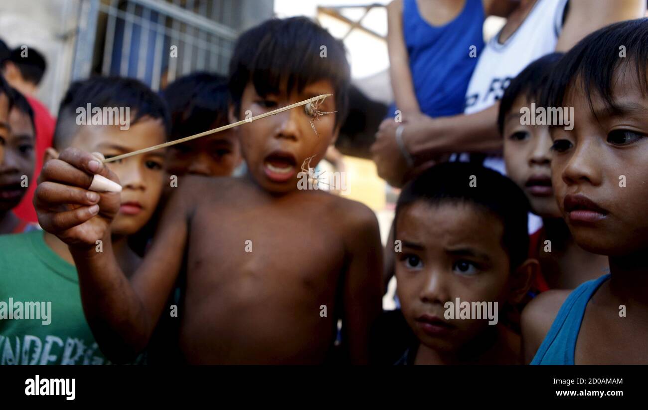 Sports cards children hi-res stock photography and images - Alamy