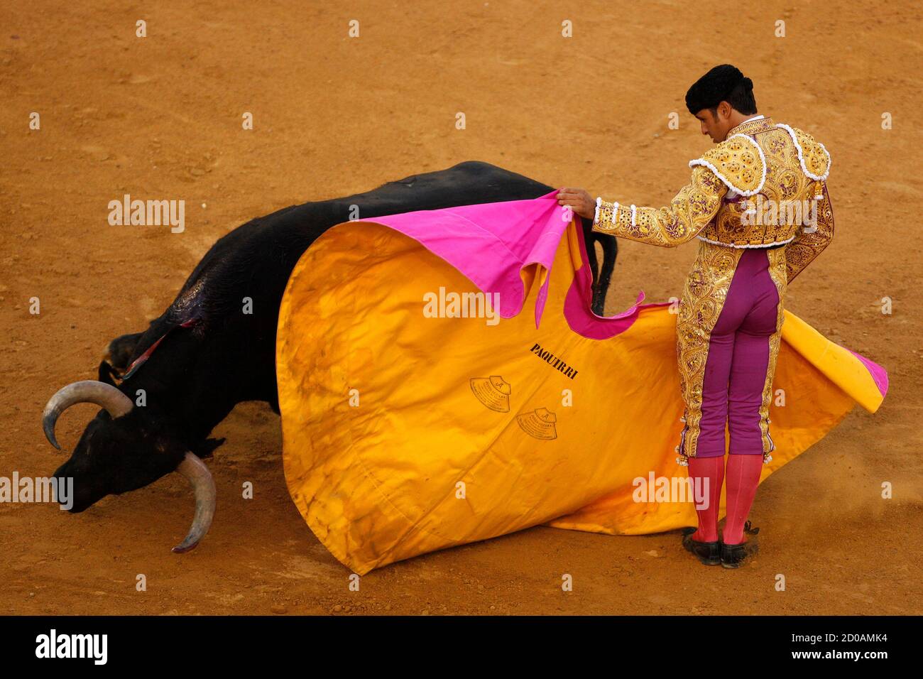 Francisco rivera bullfight hi-res stock photography and images - Alamy