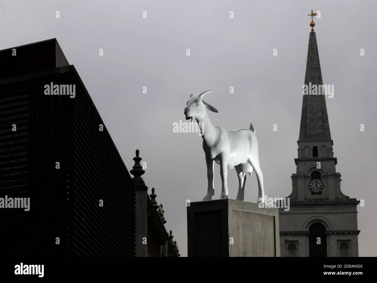 Prize winning goat hi-res stock photography and images - Alamy