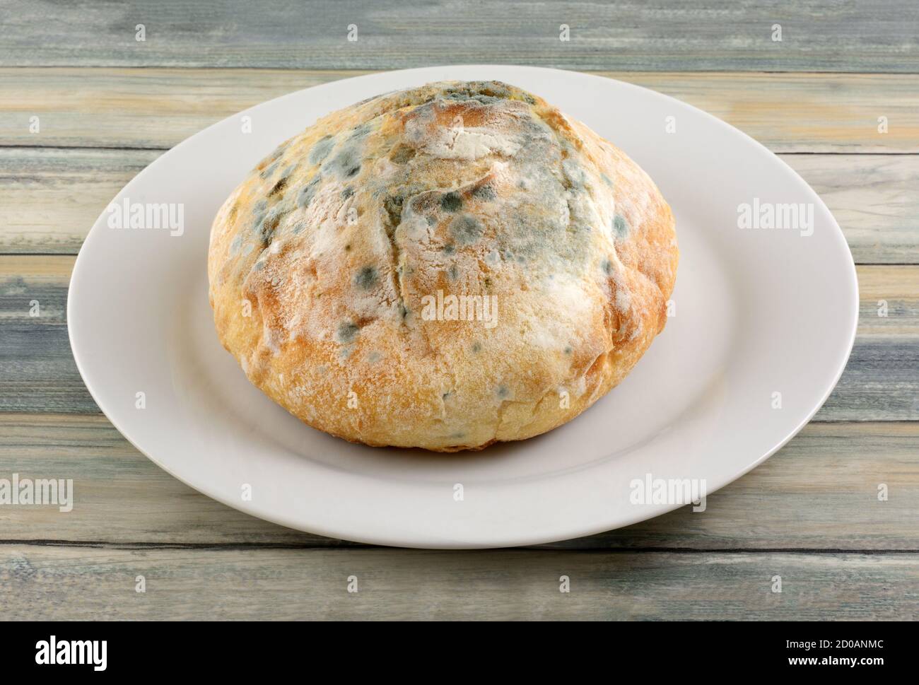Bread mold hi-res stock photography and images - Alamy