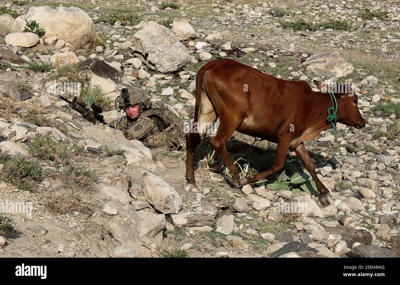 35th position hi-res stock photography and images - Alamy