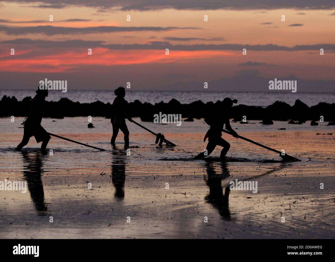 Ulong hi-res stock photography and images - Alamy
