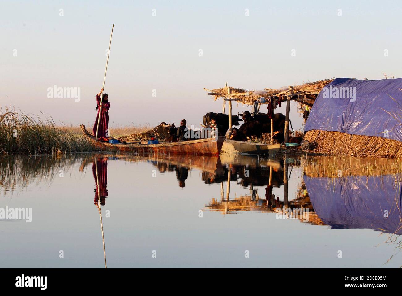 Drained marsh iraq hi-res stock photography and images - Alamy