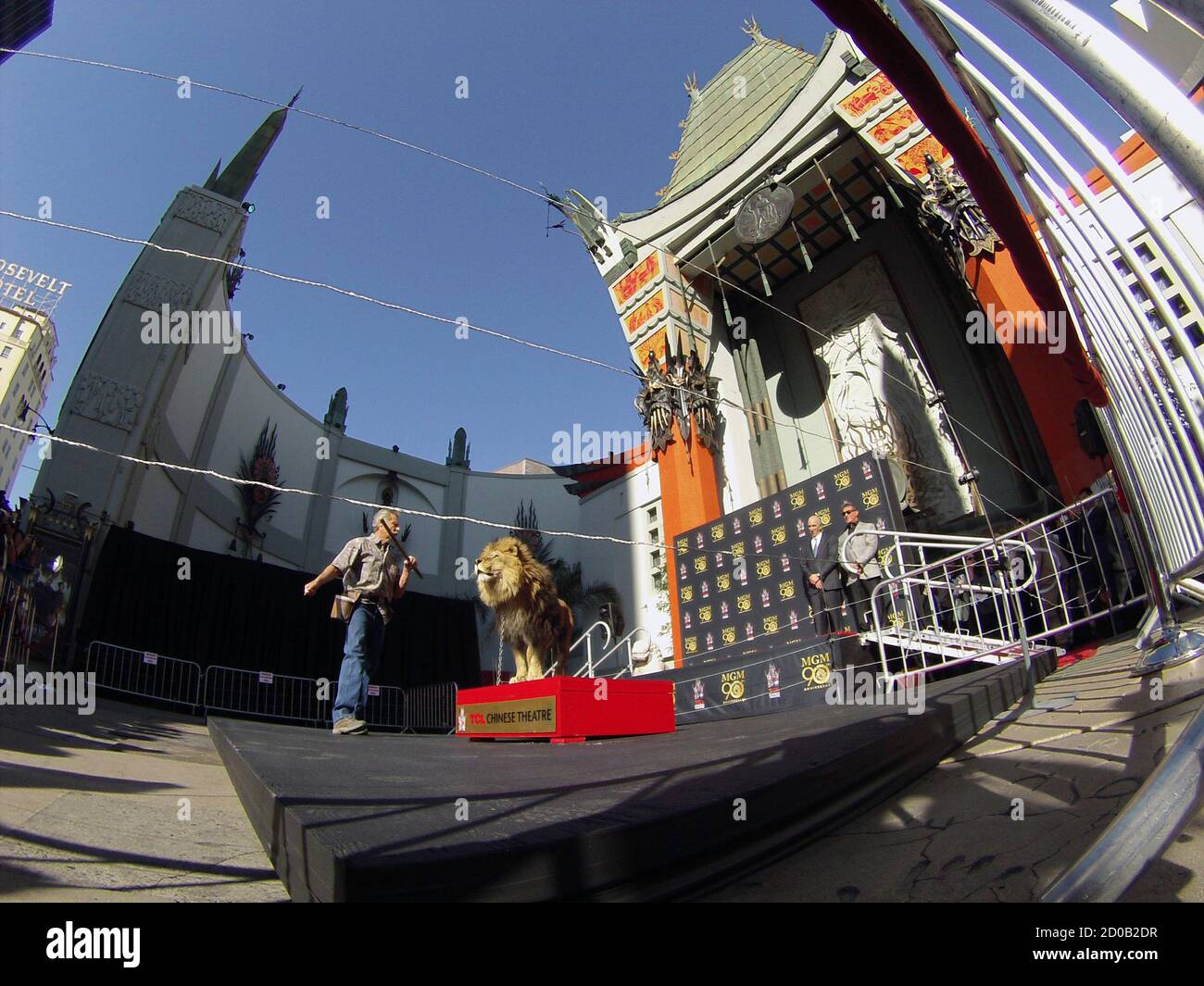 Mgm leo the lion hi-res stock photography and images - Alamy