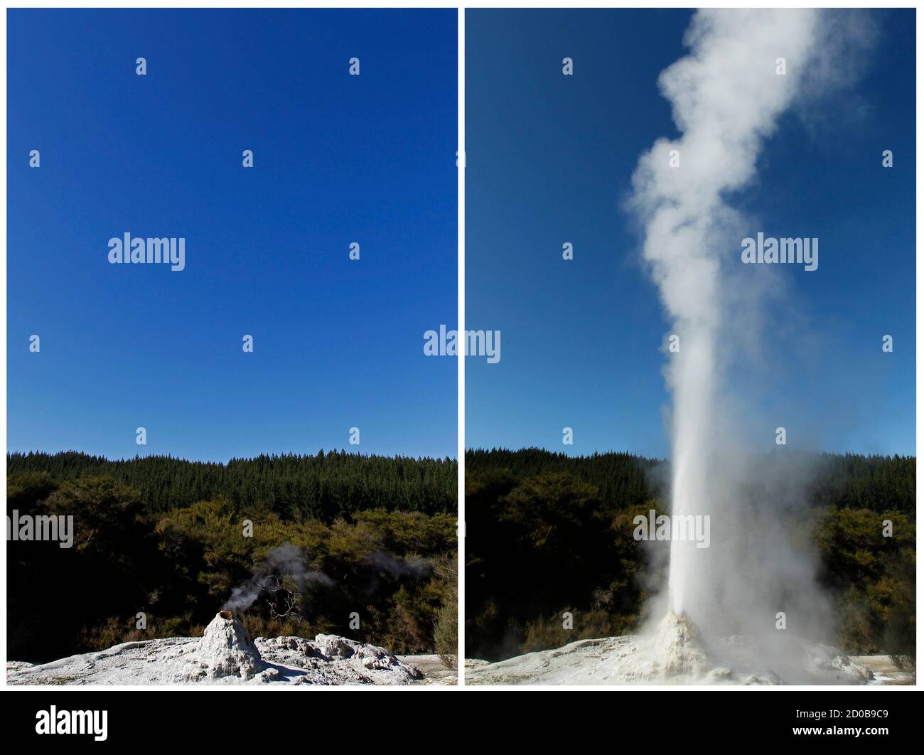 Geysers new zealand Cut Out Stock Images & Pictures - Alamy