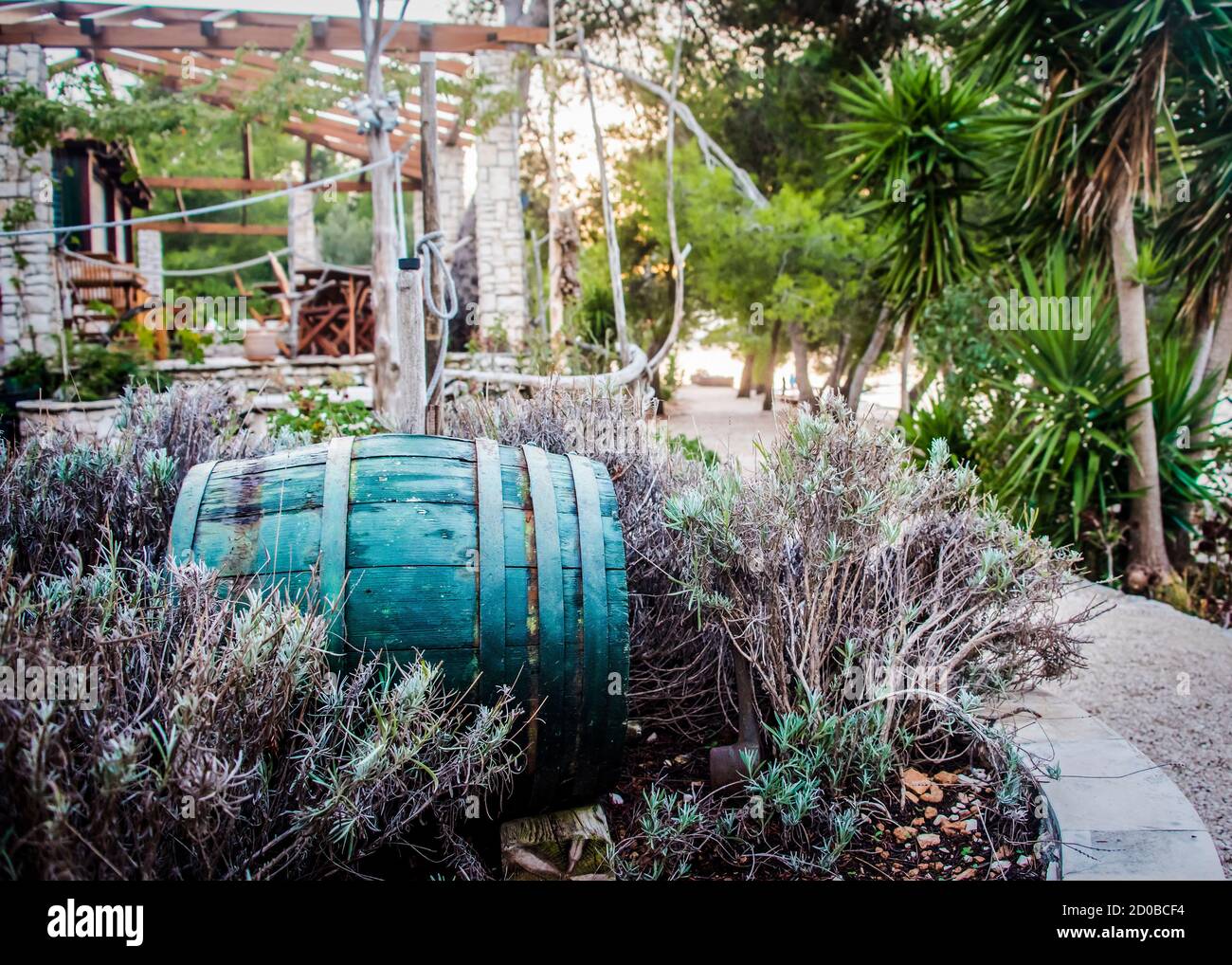 Abandoned old turquoise barrel in the bushes Stock Photo - Alamy