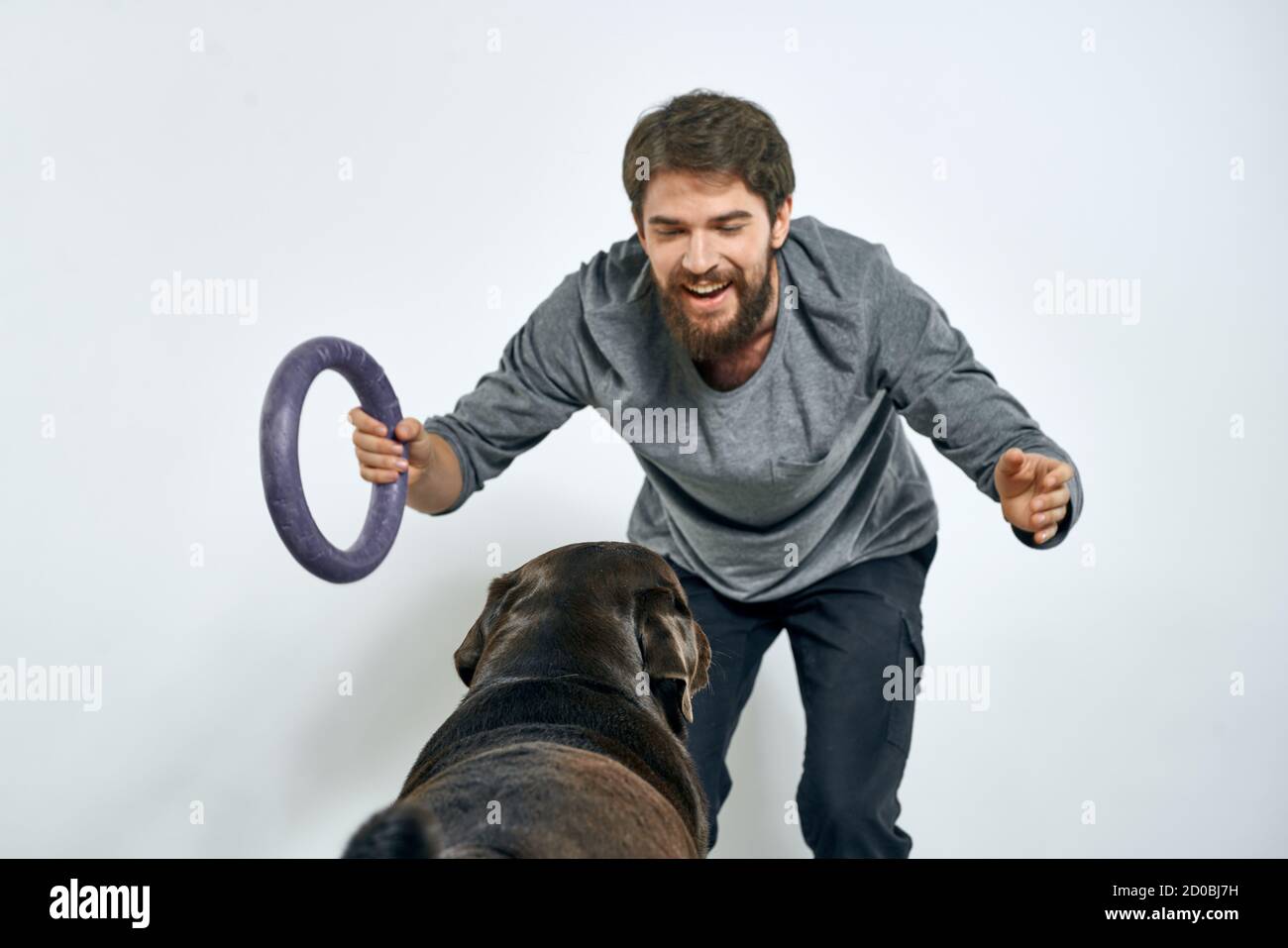 happy owner with pet black dog training model emotions Stock Photo - Alamy